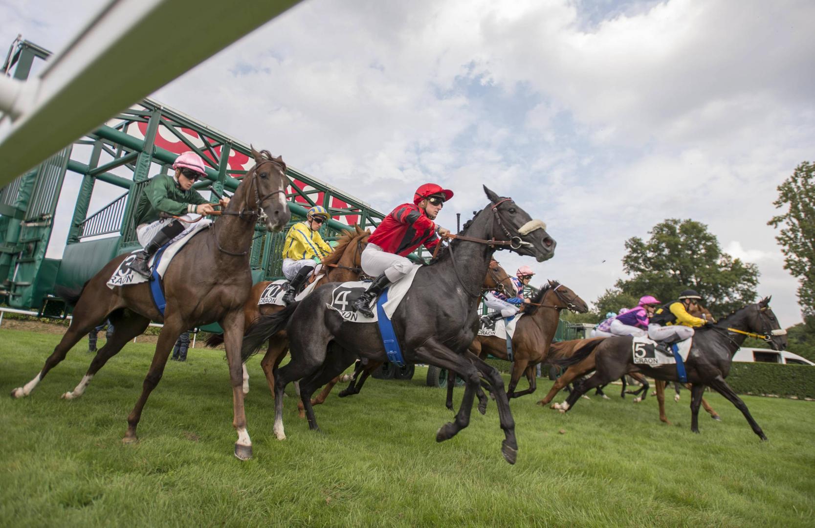 Calendrier et animations - Craon - Laval - Mayenne | Courses de Craon